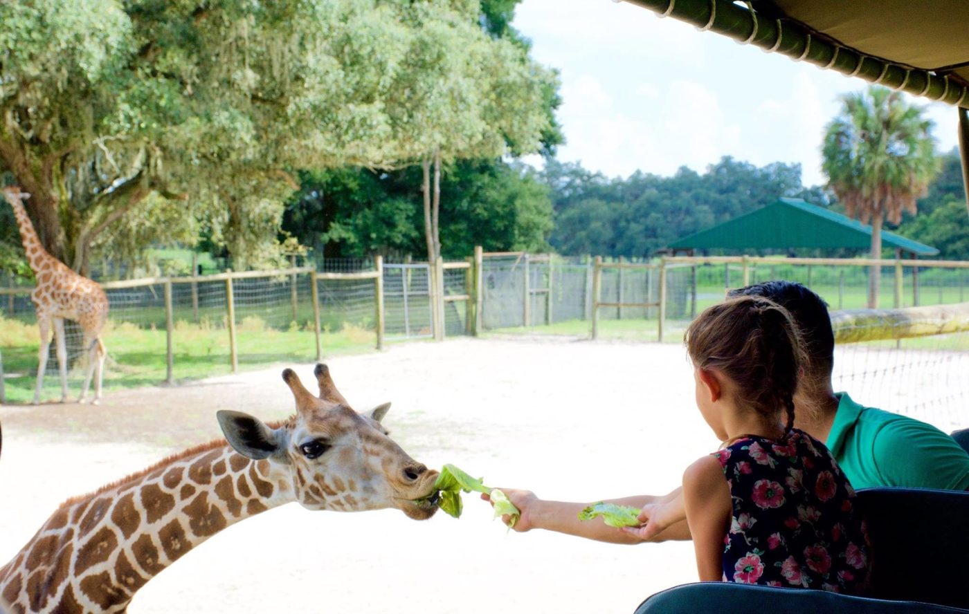 Directions | Giraffe Ranch