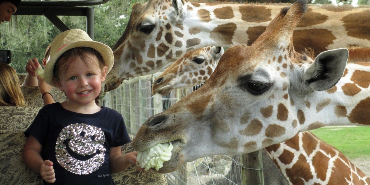 About Us | Giraffe Ranch